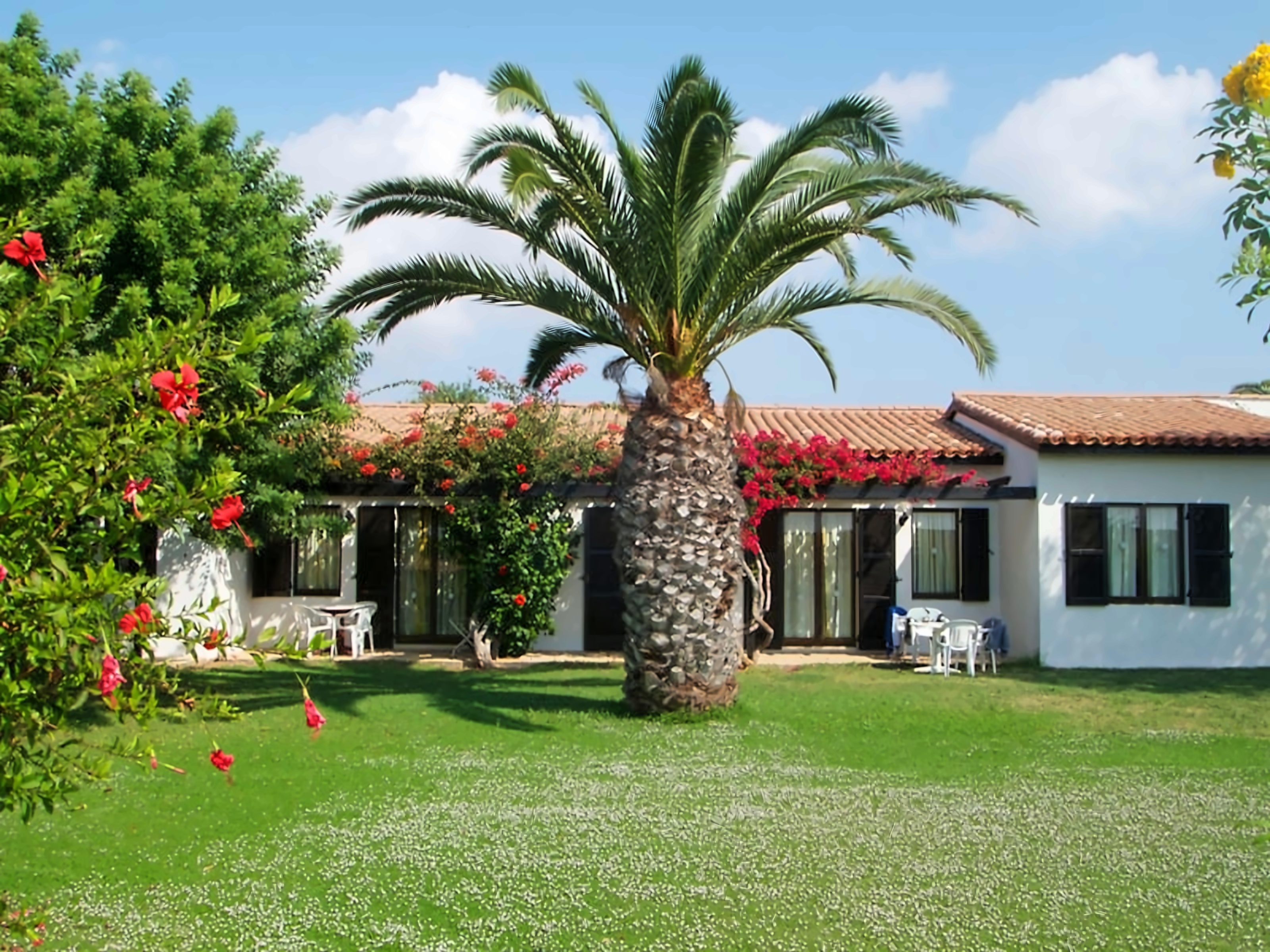 Kermia Beach Bungalows Ayia Napa Cyprus photo, price for the vacation ...