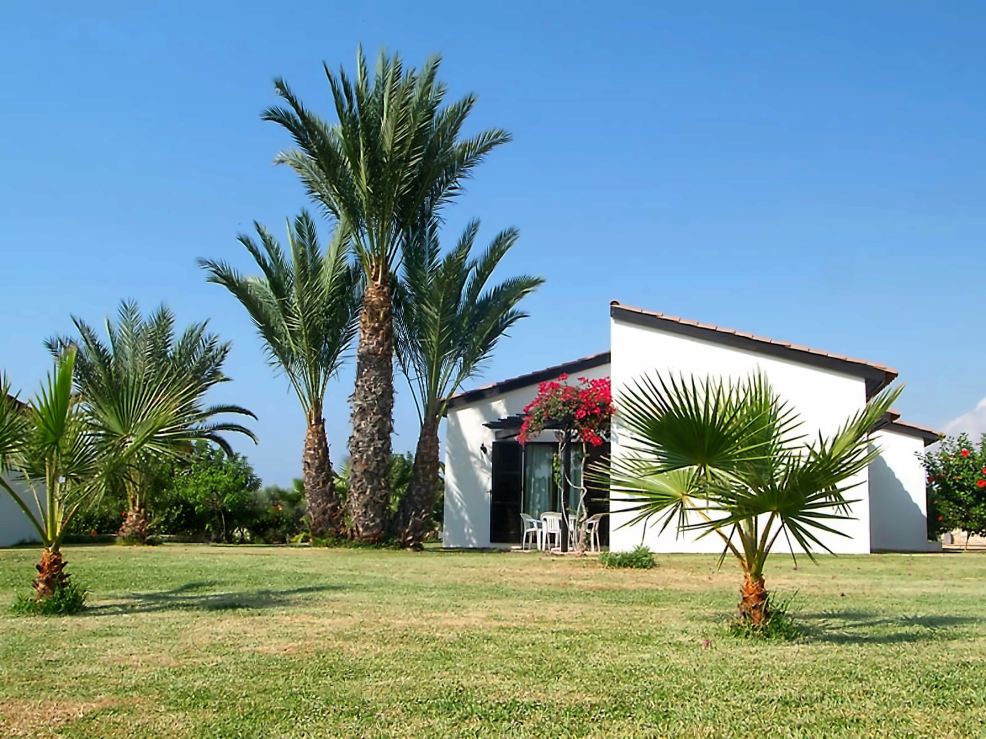 Kermia Beach Bungalows Ayia Napa Cyprus photo, price for the vacation ...