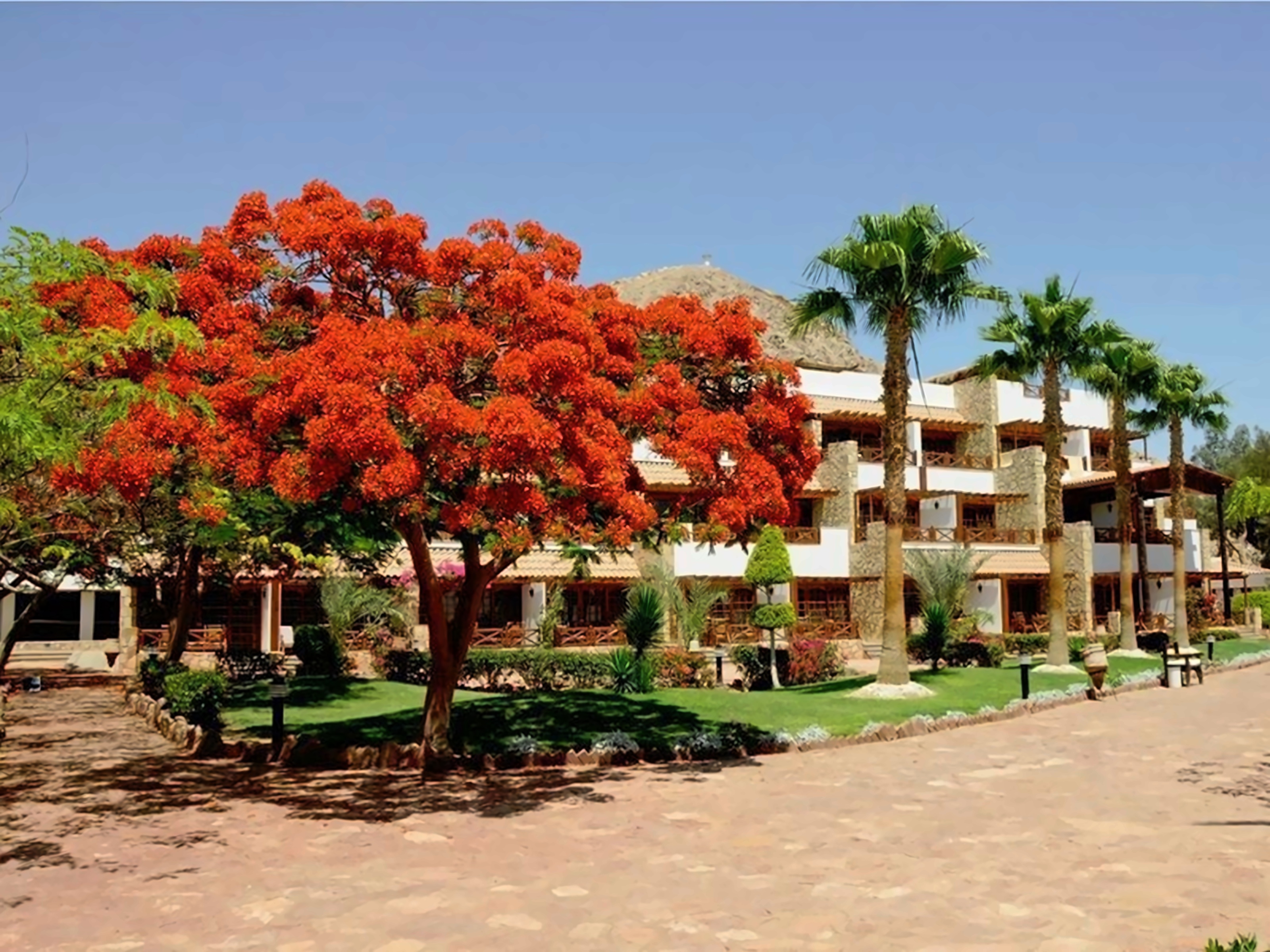 Taba Hotel & Nelson Village ( Ex. Hilton Taba ) Taba Egypt photo, price ...