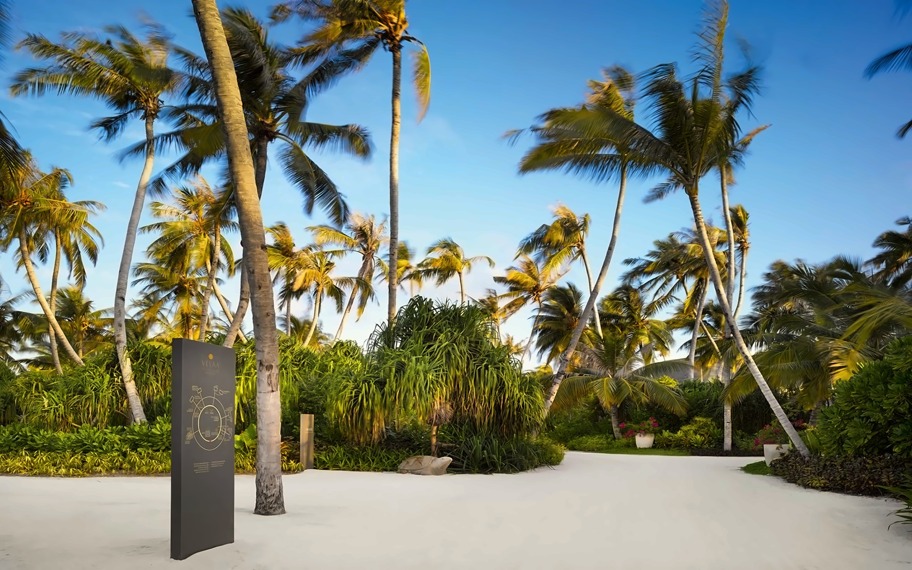 Velaa Private Island Noonu atolas Maldyvai nuotrauka, kaina su kelionių ...