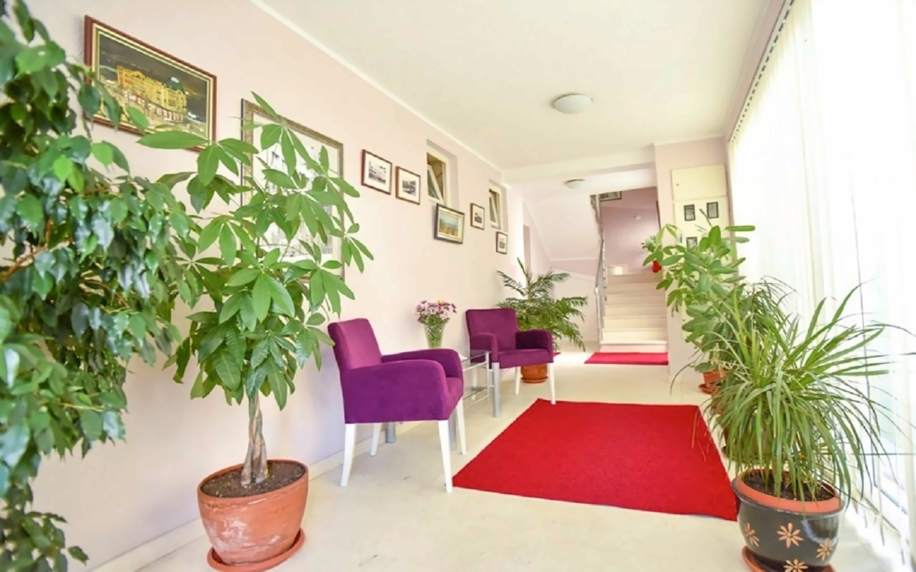 Apartments Idila Budva Juodkalnija nuotrauka, kaina su kelionių ...